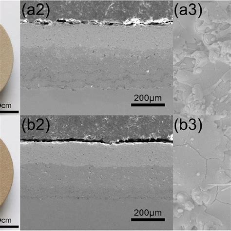 The Surface Photographs Cross Section And Surface Morphologies Of