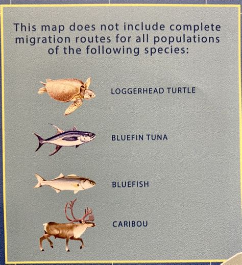 Species Migrate Insects Birds Mammals Humans Oaxaca Cultural Navigator Experience Connection