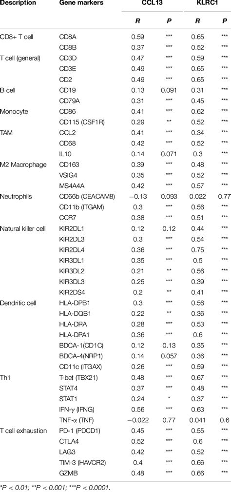 Correlation Analysis Between Two Hub Genes And Immune Cells Markers In