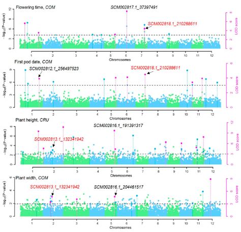 Genome Wide Quantitative Trait Loci Qtl Associated With Different Download Scientific Diagram