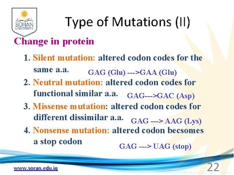 Cell And Molecular Biology Dna Mutation And Repair