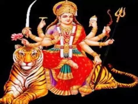 न्यायलय देसी टैलेंट बॉलीवुड ज्योतिष शास्त्र ई पेपर रेसिपी Web Story