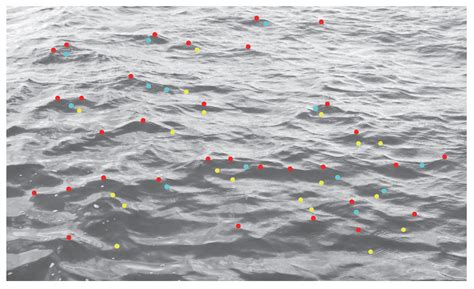 Long Distance Sea Wave Sparse Matching Algorithm For Sea Level Monitoring System