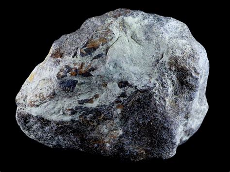 3 9 Diplodocus Fossil Bone Morrison Fm Wyoming Jurassic Age Dinosaur