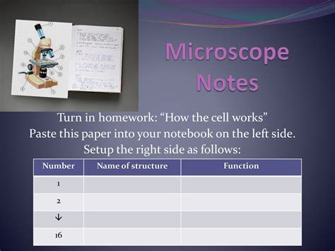 Microscope Notes Turn In Homework “how The Cell Works” Ppt Download