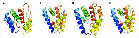 Three Dimensional Structure Mode Of Odorant Binding Proteins In Download Scientific Diagram