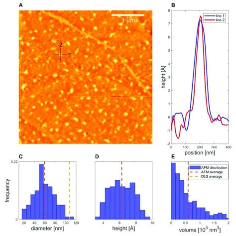 The 1 20 NPs Deposited On HOPG A Topography B Line Profiles Of A
