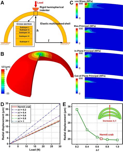 Radial Displacement Principal Stress And Von Mises Stress