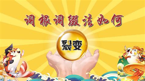 哔哩哔哩bilibili
