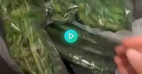 Drug Addicts Album On Imgur