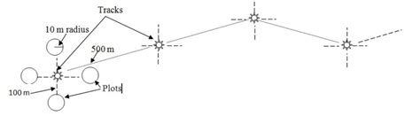Schematic Representation Of The Arrangement Of Sampling Tracks And Plots Download Scientific