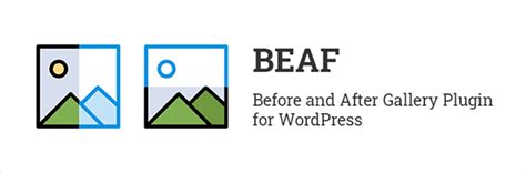 5 Best Before And After WordPress Plugins With Slider