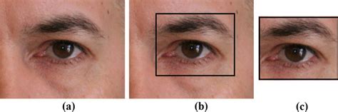 Example Image A Original Image B Visualization Of Rectangular Roi Download Scientific