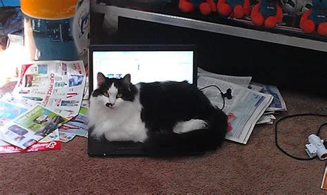 Sasha On Ethans Computer By Kin Tatsuhiro On Deviantart