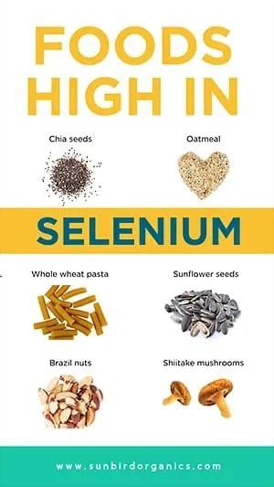 Top 10 Foods High In Selenium Artofit Top 10 Foods High In Selenium Artofit