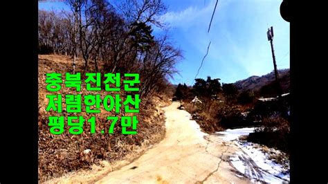 충북 진천군 저렴한 토지 매매 백곡면 성대리 임야 약 7만평 Youtube