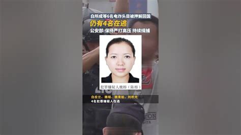 白所成等6名電詐頭目被押解回國，仍有4名在逃！公安部保持嚴打高壓，持續緝捕 Youtube