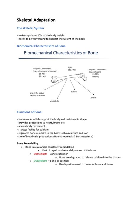 Lecture 7 Notes Warning TT Undefined Function 32 Warning TT