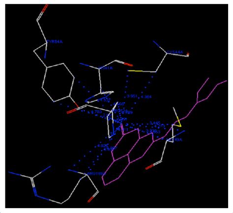 Charge Interaction Download Scientific Diagram
