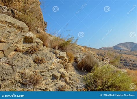 Wadi Kelt Or Nahal Prat Judean Desert Israel Early Autumn In A Nature Reserve Selective