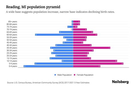 Reading Mi Population By Age 2023 Reading Mi Age Demographics