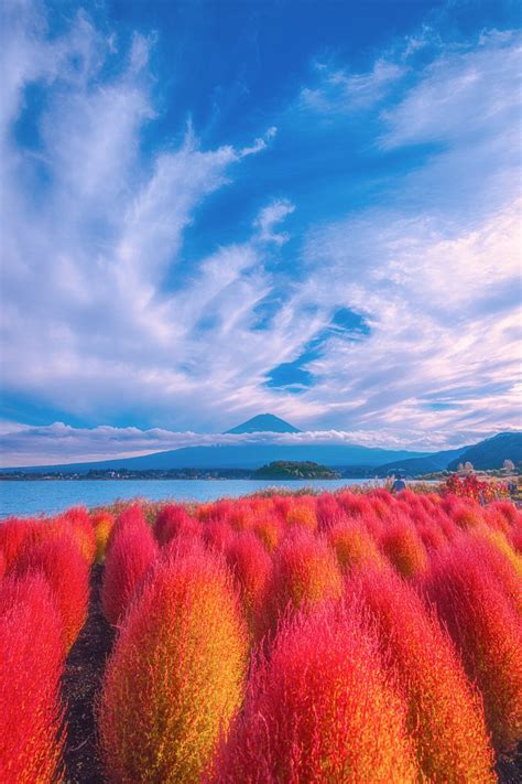 もんた🍁🐿️ On Twitter Rt Asagiphoto0921 神々しい秋が撮れました。
