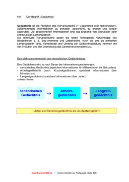 Drei Speicher Modell des Gedächtnisses