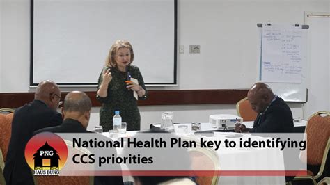Who Hosts Consultative Workshop To Develop 5 Year Ccs Png Haus Bung