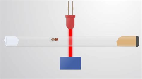 Video Drosophila Activity Monitor Dam A Method To Measure Locomotor
