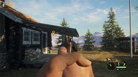 help what is causing this visual bug r thehunter