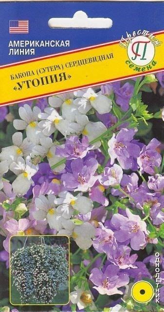Бакопа Утопия, семена – купить в питомнике "КСП" с доставкой по России