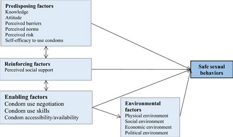 Logic Model For The Needs Assessment Download Scientific Diagram