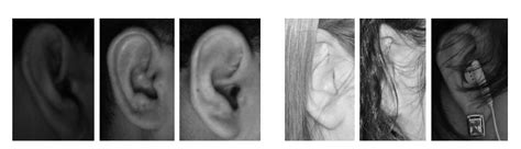 Figure 2 From Analysis Of Local Descriptors Features And Its Robustness Applied To Ear