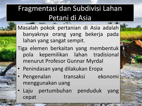 PPT TRANSFORMASI PERTANIAN DAN PEMBANGUNAN DAERAH PEDESAAN PowerPoint Presentation ID