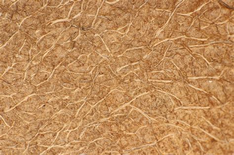 Coconut Nut Fibers Surface Texture Containing Dry Pattern And