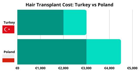 Hair Transplant Poland Vs Turkey An Overview How To Choose