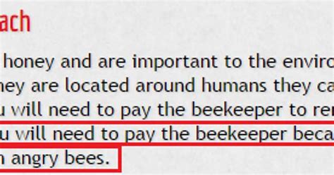 Theyre Nesting Under My Eaves Again Imgur