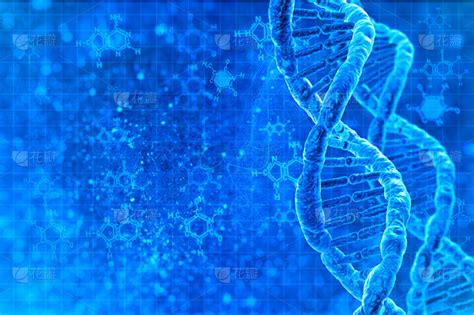 脱氧核糖核酸生物科技酸水平画幅形状无人绘画插图科学计算机制图计算机图形学