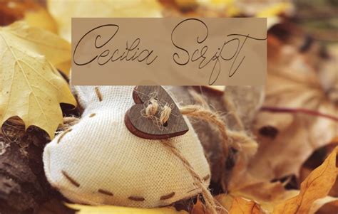 Cecilia Script Font FFonts Net