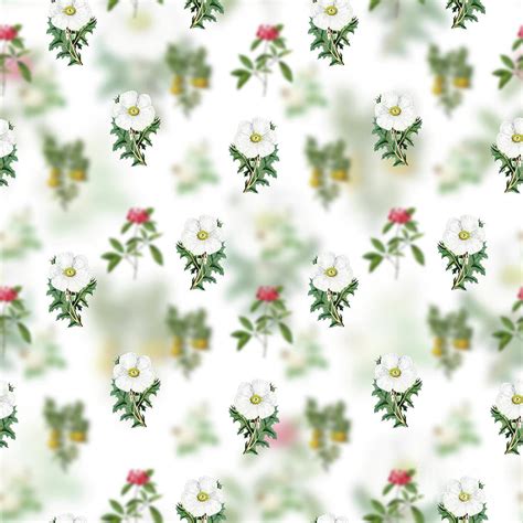 vintage mexican poppy floral garden pattern on white n 1322 mixed media