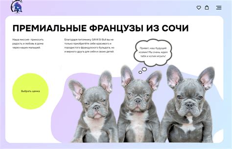 Щенки породы французский бульдог голубой и лиловый французский
