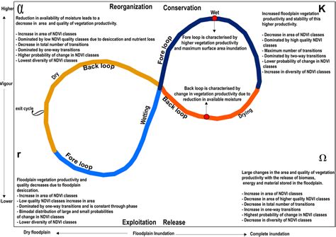The Hypothesised Adaptive Cycle Model Of Vegetation Productivity Download Scientific Diagram
