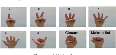 figure 1 from a algorithm for static gesture recognition using