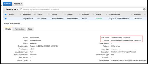 how to create a custom ami with encrypted amazon ebs snapshots and