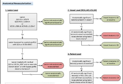 Anatomical Lesion Vessel And Patient Level Revascularization