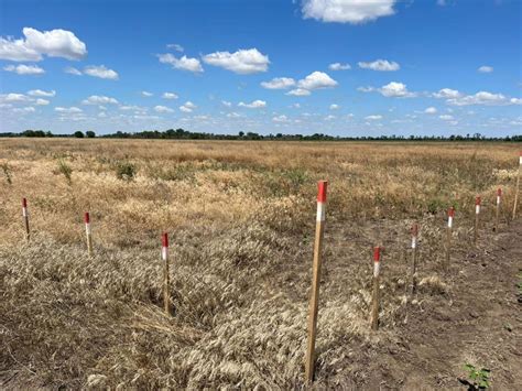 Міжнародна служба розмінування розпочала роботи на полі в Херсонській області Міжнародний