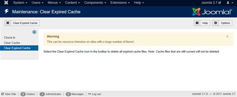 Help310 Site Maintenance Purge Expired Cache Joomla Documentation
