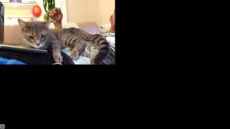 Ios Merging Clips With Different Resolutions Stack Overflow