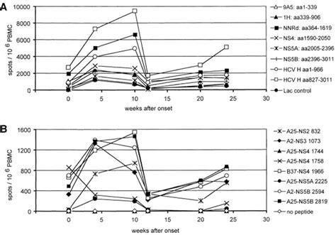 Antigen Specific Ifn γ Production Of Hcv Specific T Lymphocytes During